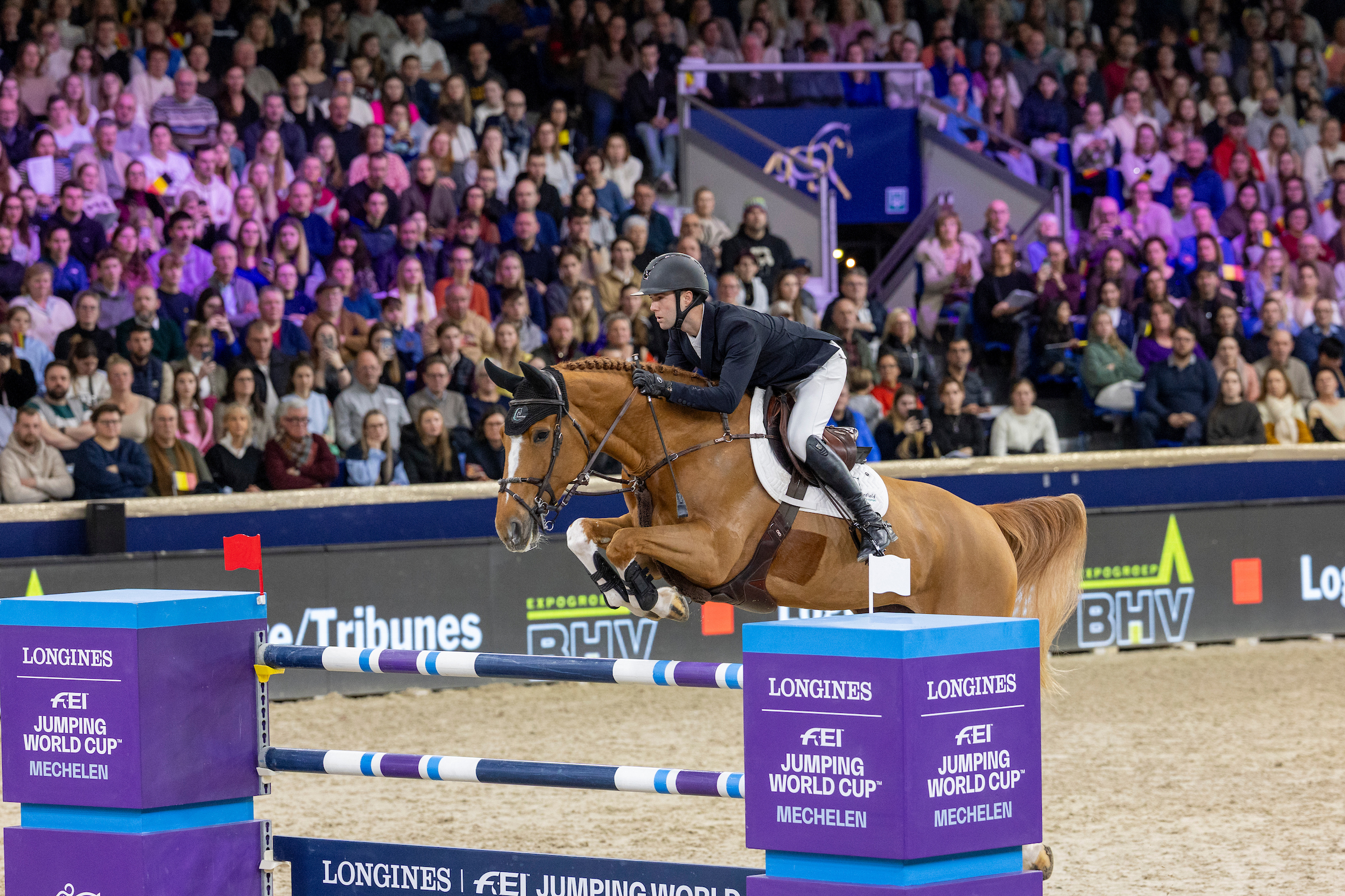 Qalista DN kroont BWP‑superweek met Wereldbekerzege | Belgian Warmblood