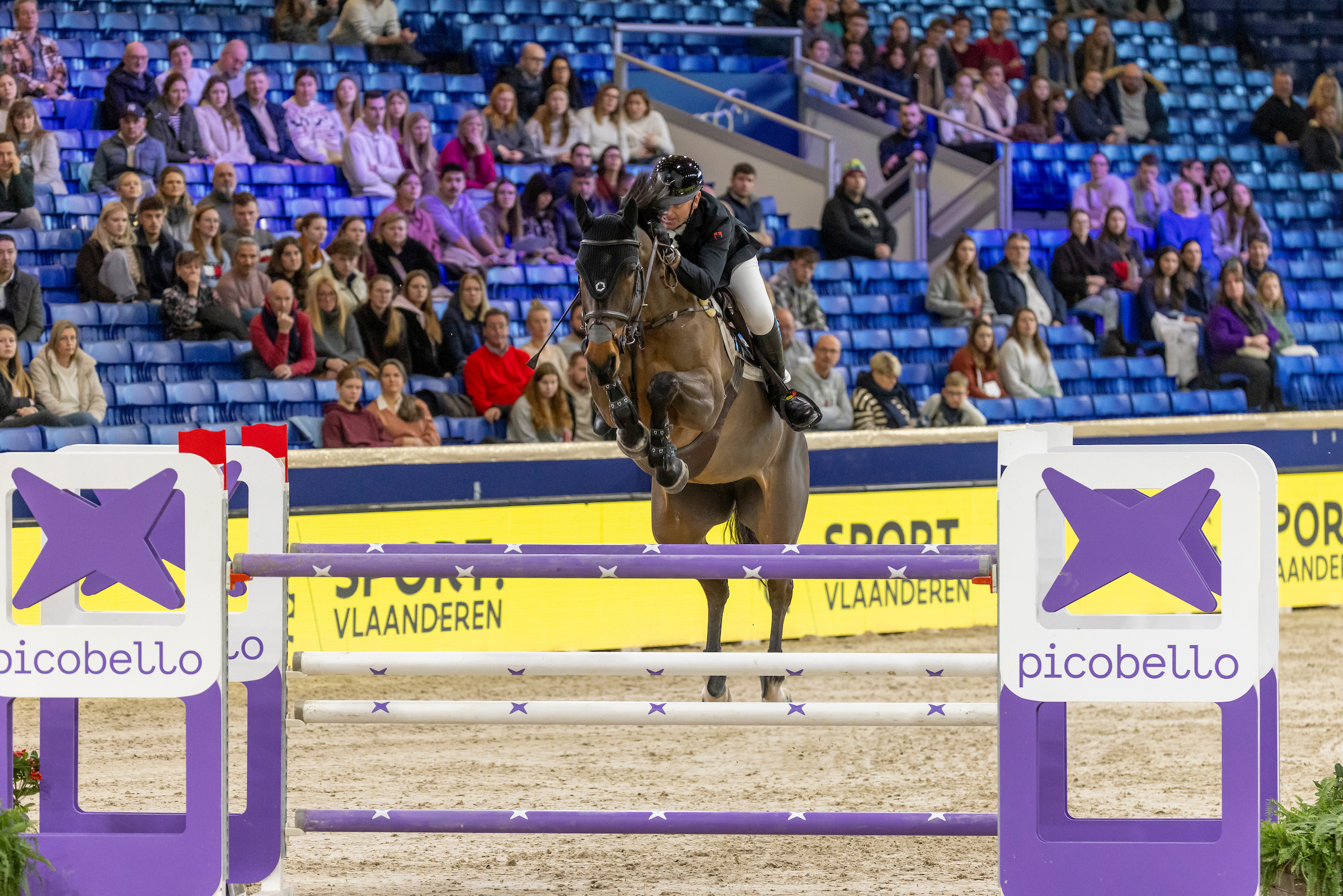 Qalista DN kroont BWP‑superweek met Wereldbekerzege | Belgian Warmblood